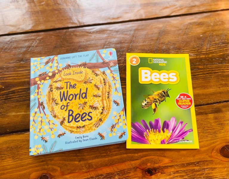 Honeybee Center – Supporting Autism Mamas